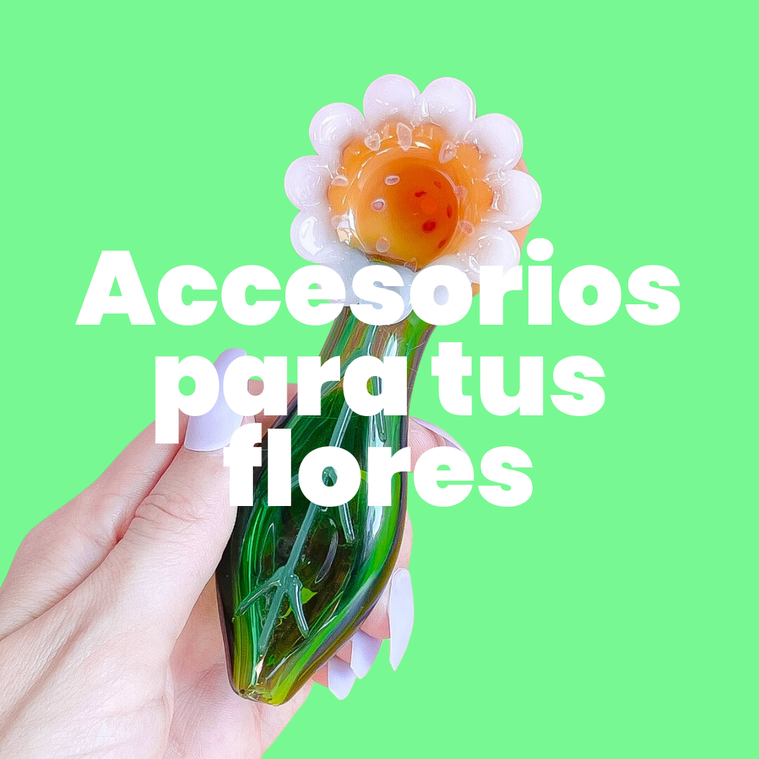 Buenos Humos – Chicks Vs Stigma